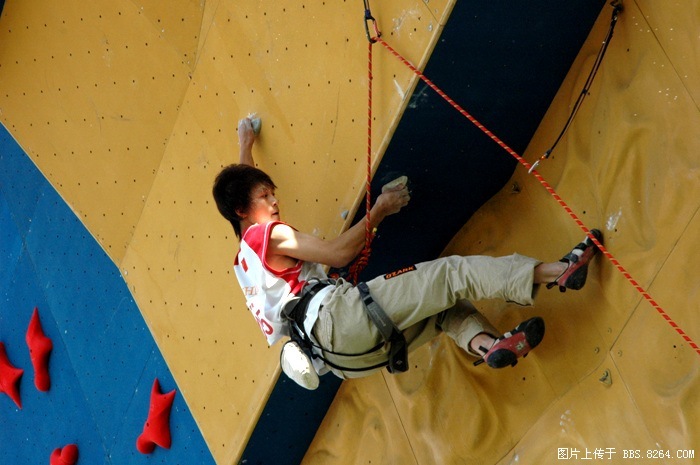 2008中国青海高原世界杯攀岩赛：中国选手 瞿海滨（QU, Haibin） 攀登图片 ( 2 ) - 文章暂存 - 8264户外